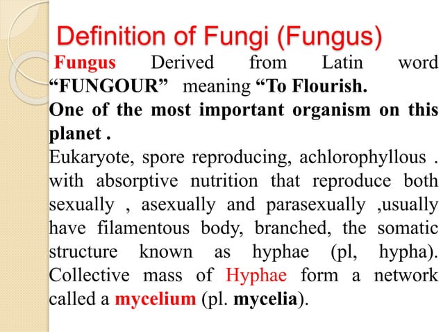 Introduction to fungi | PPT