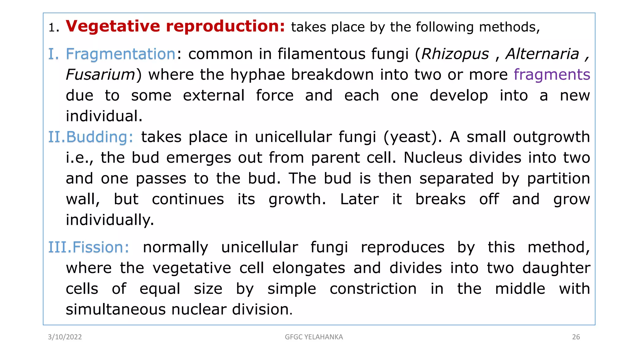 An Introduction to Fungi.pdf | Gardening | Home & Garden