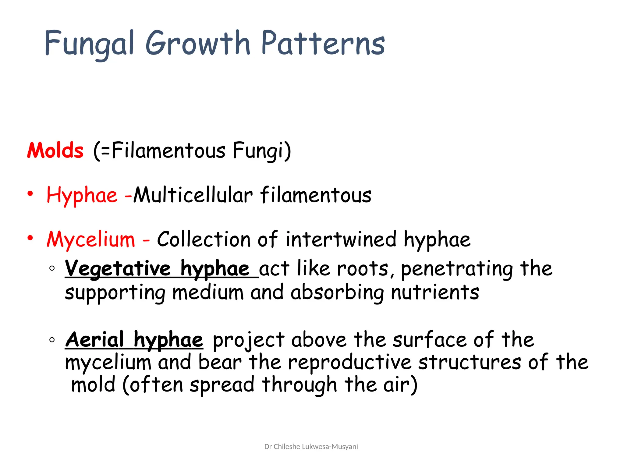 Introduction to fungi and mycoses.pptx . | PPTX