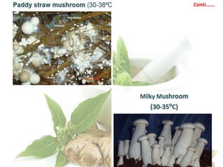 Introduction to fungi new | PPT