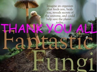 Introduction to fungi new | PPT