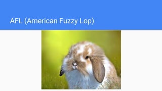 Introduction to fuzzing | PPTX