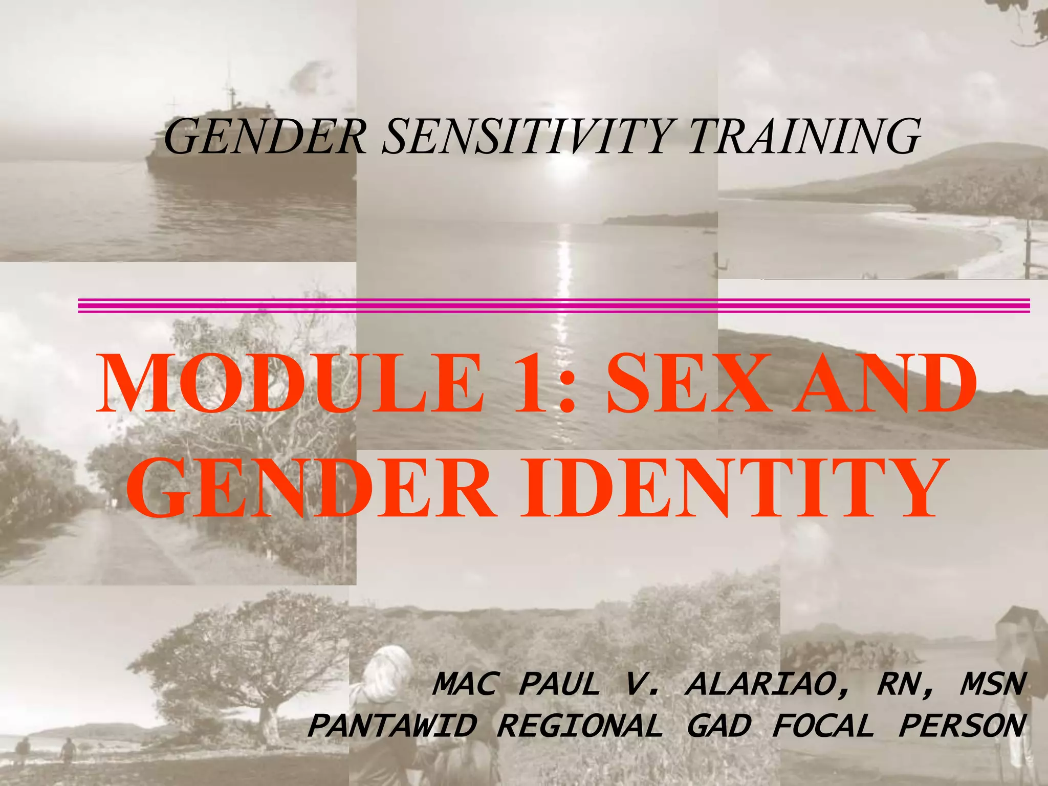 BASIC GENDER SENSITIVITY TRAINING | PPTX