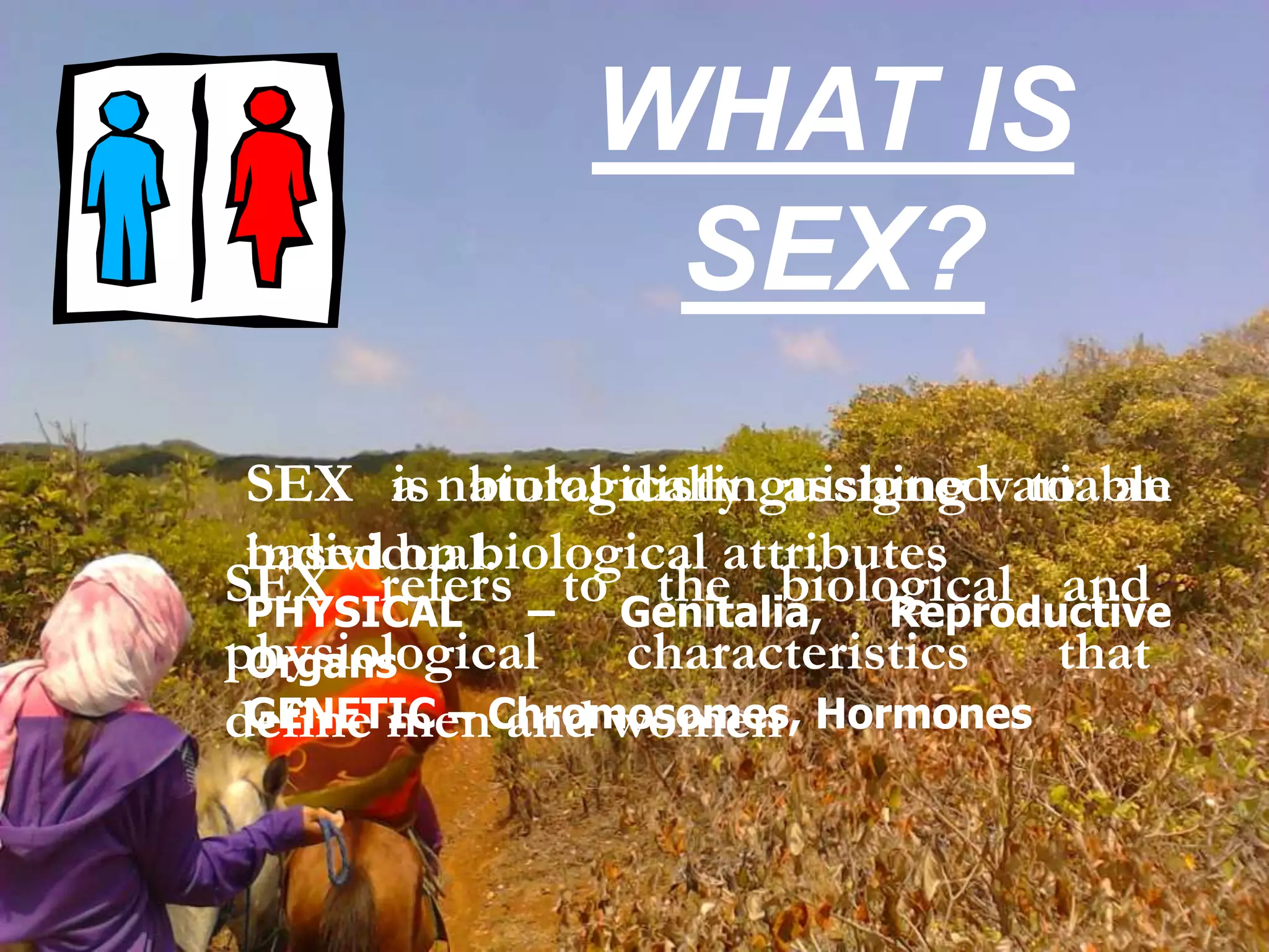 BASIC GENDER SENSITIVITY TRAINING | PPTX