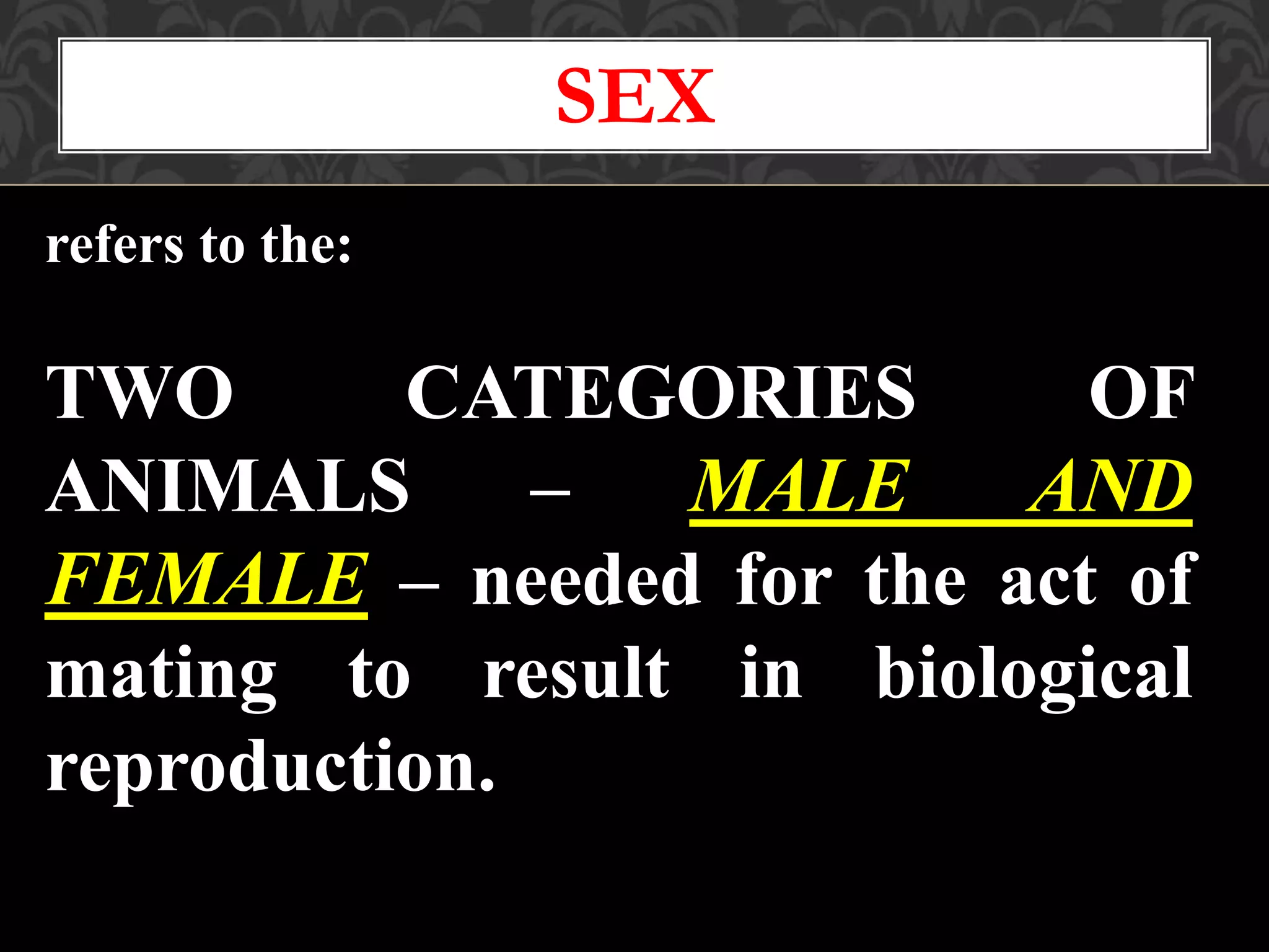 BASIC GENDER SENSITIVITY TRAINING | PPTX