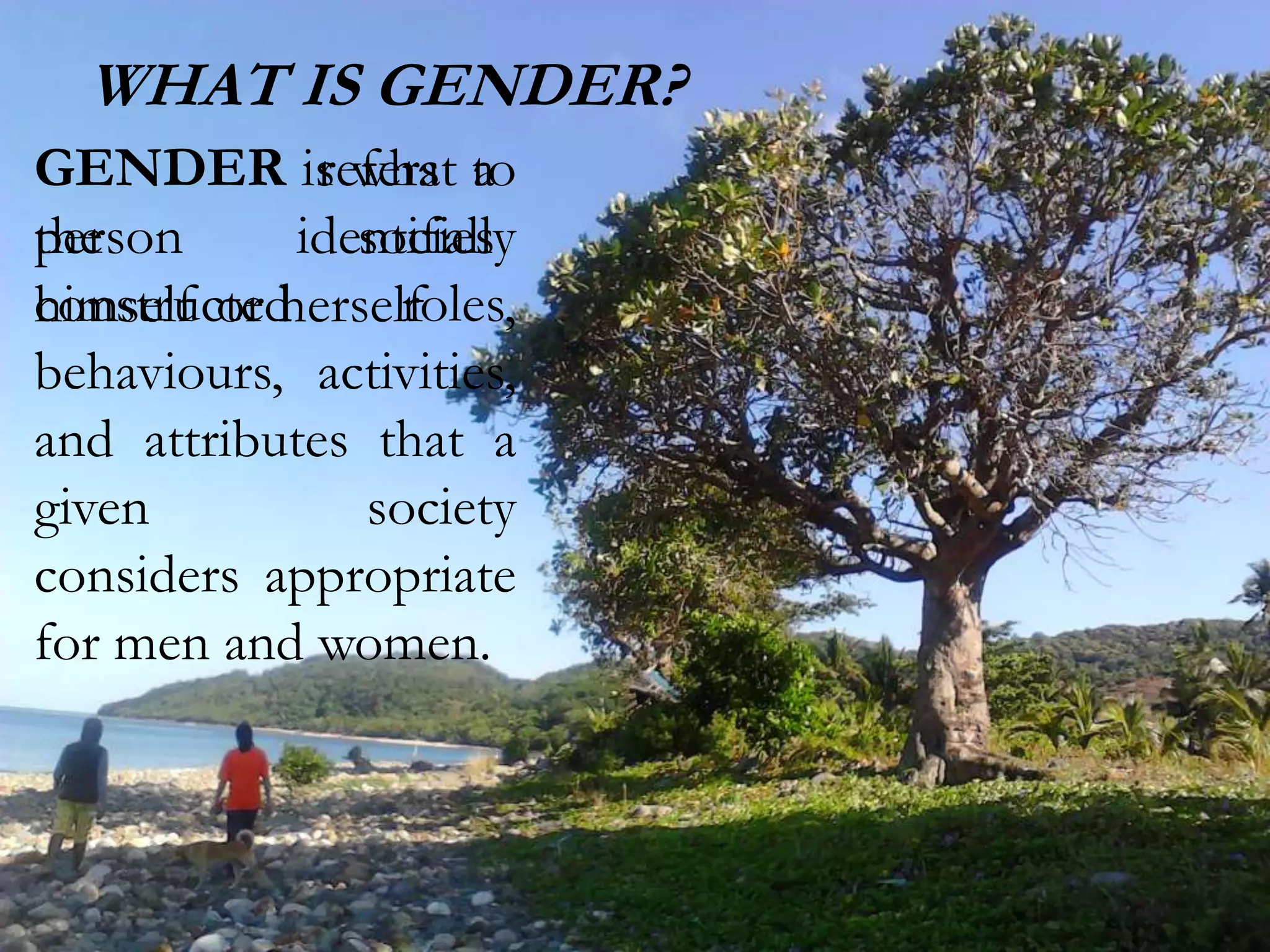 BASIC GENDER SENSITIVITY TRAINING | PPTX