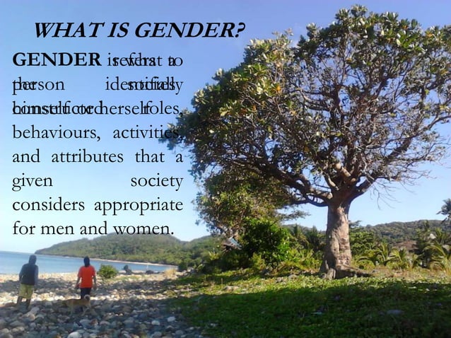 BASIC GENDER SENSITIVITY TRAINING | PPTX | Debated Sensitive Social ...