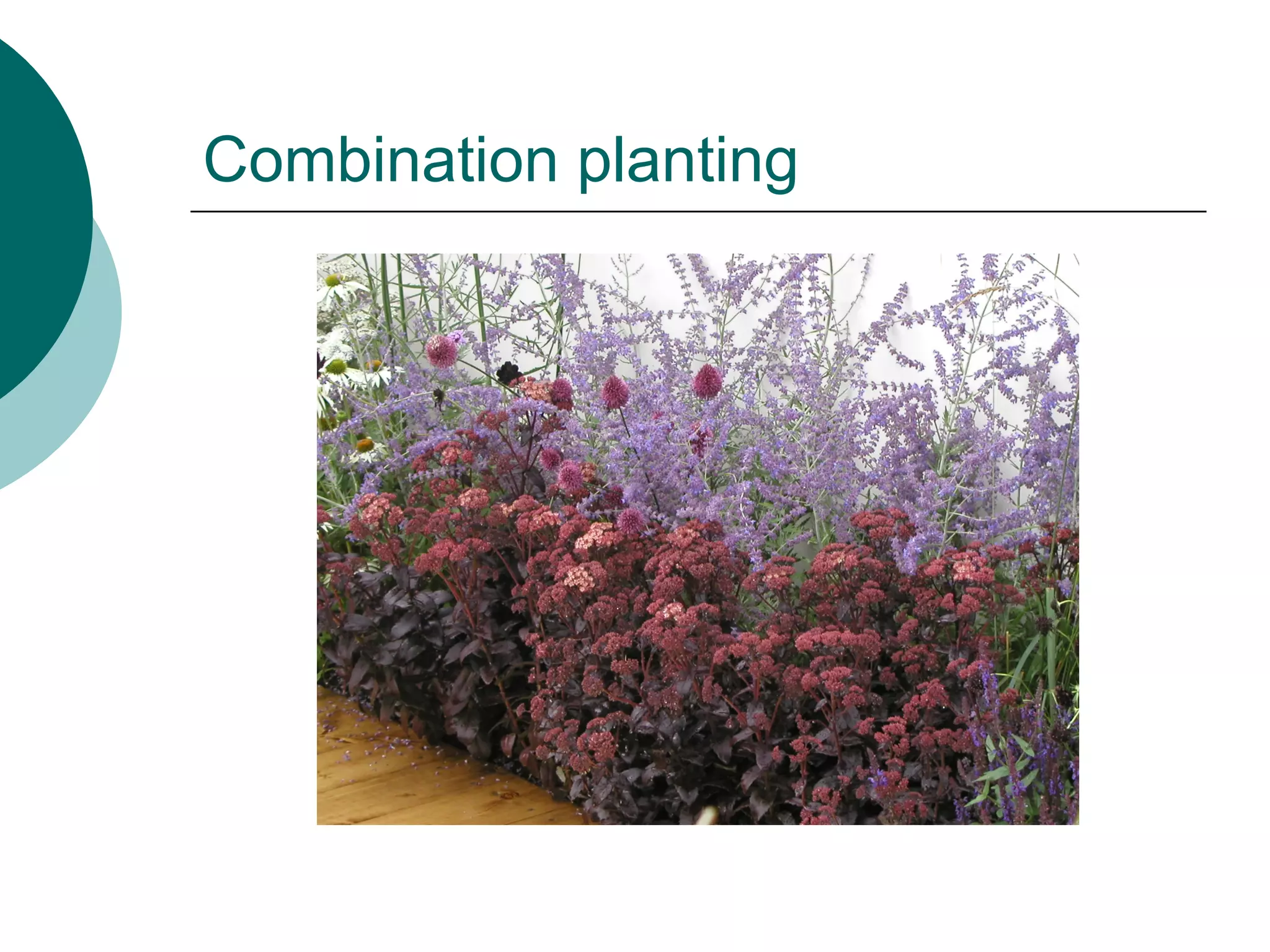 Introduction to garden planning and design session 5 | PPT