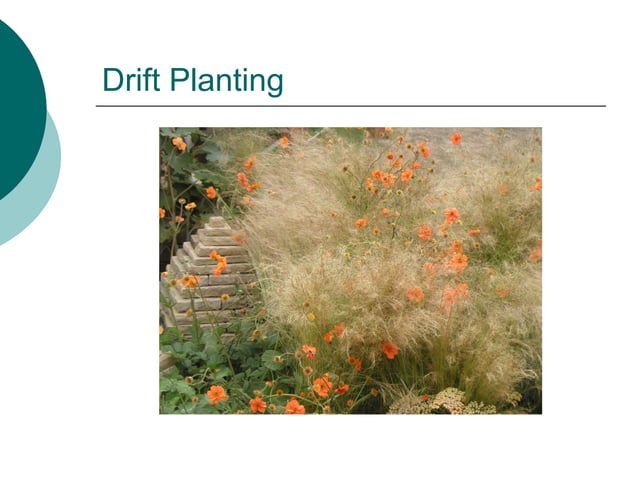 Introduction to garden planning and design session 5 | PPT