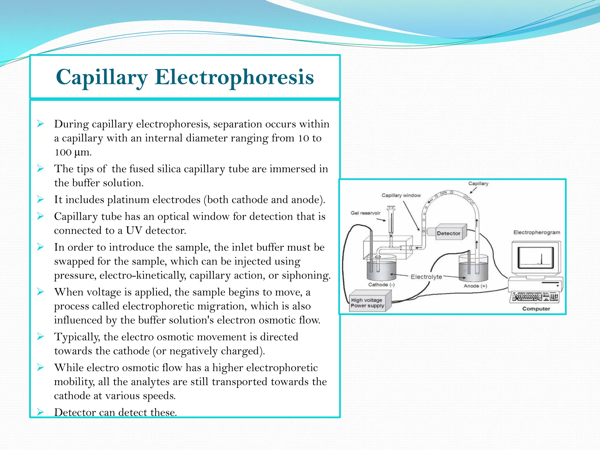 Introduction to Electrophoresis & types | PDF