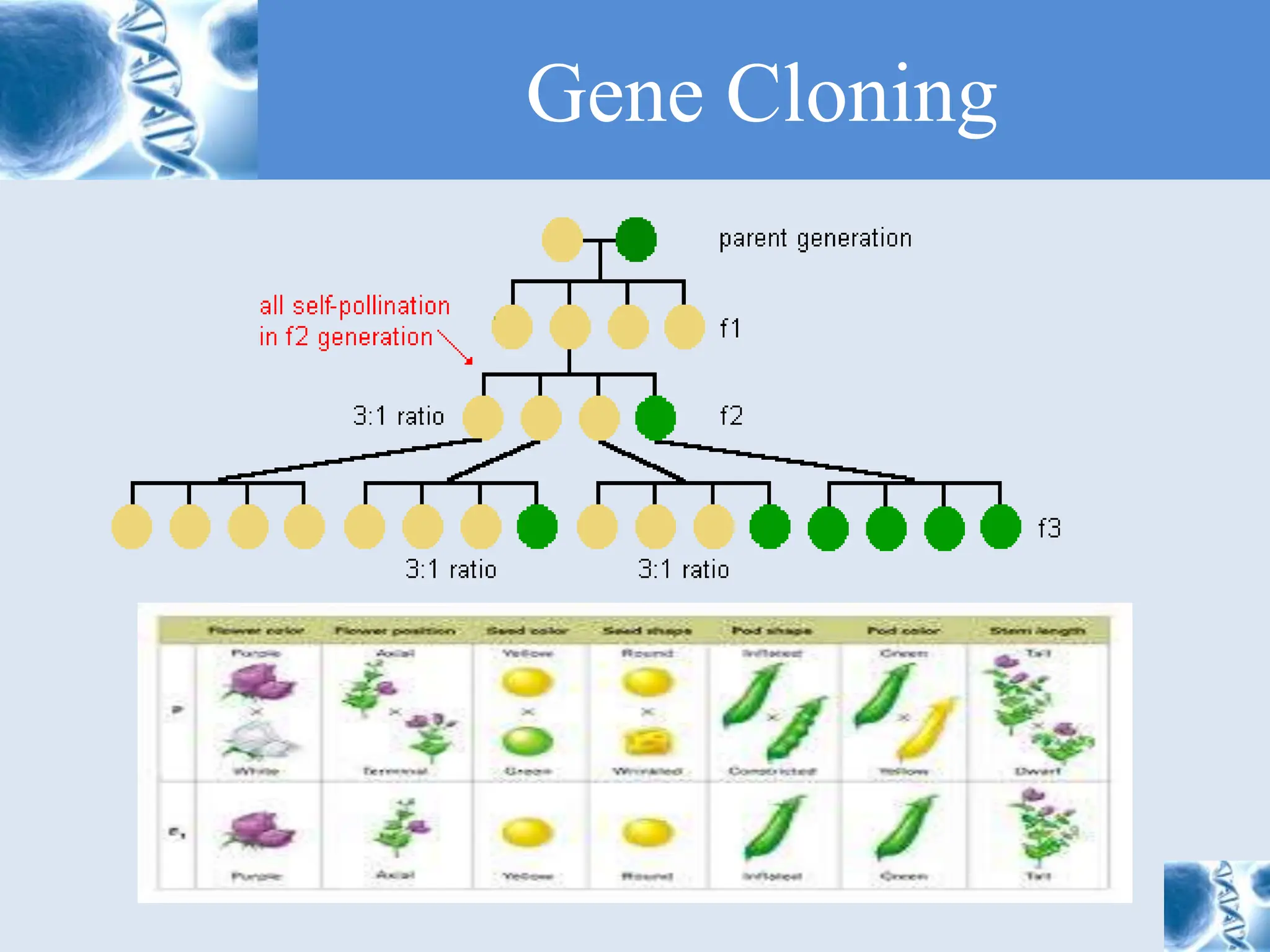 Introduction to gene cloning .pptx