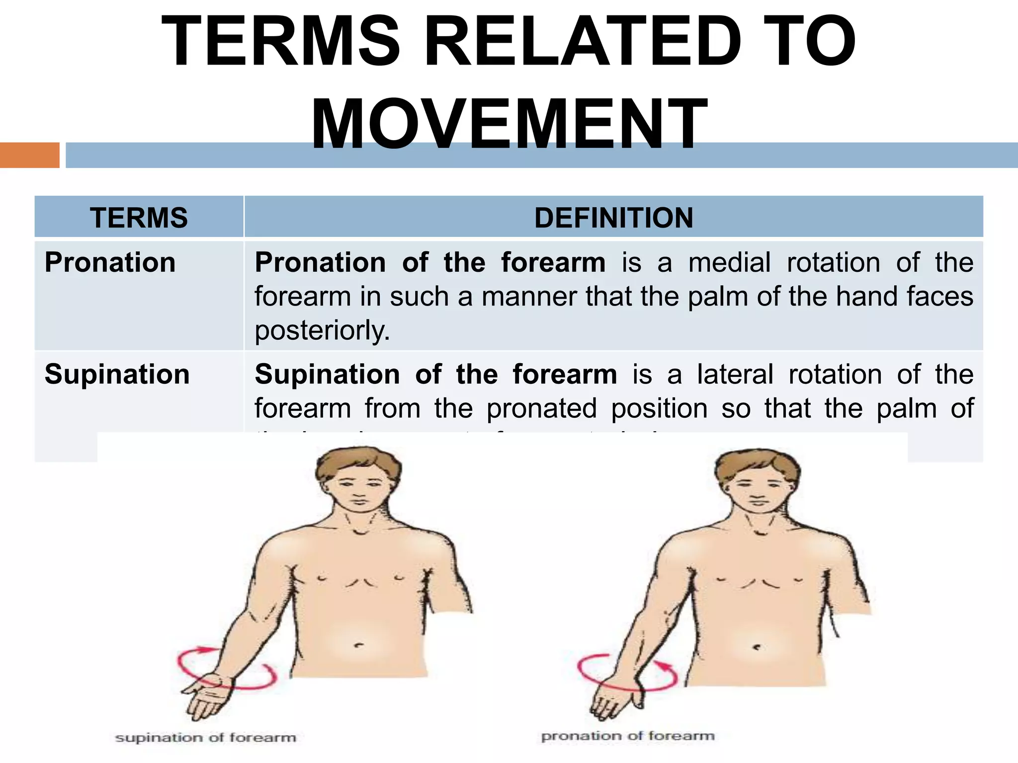Introduction to General Anatomy I | PPTX