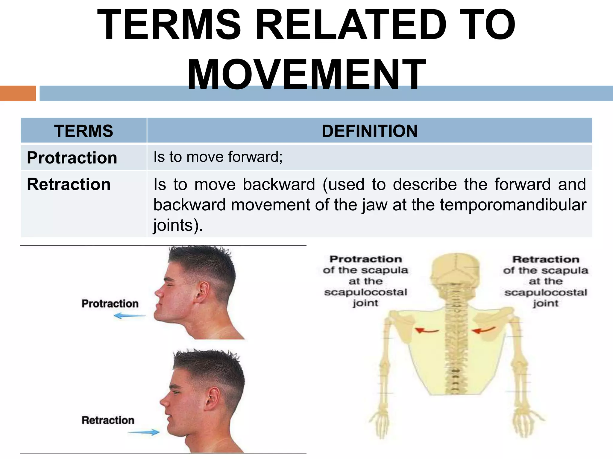 Introduction to General Anatomy I | PPTX