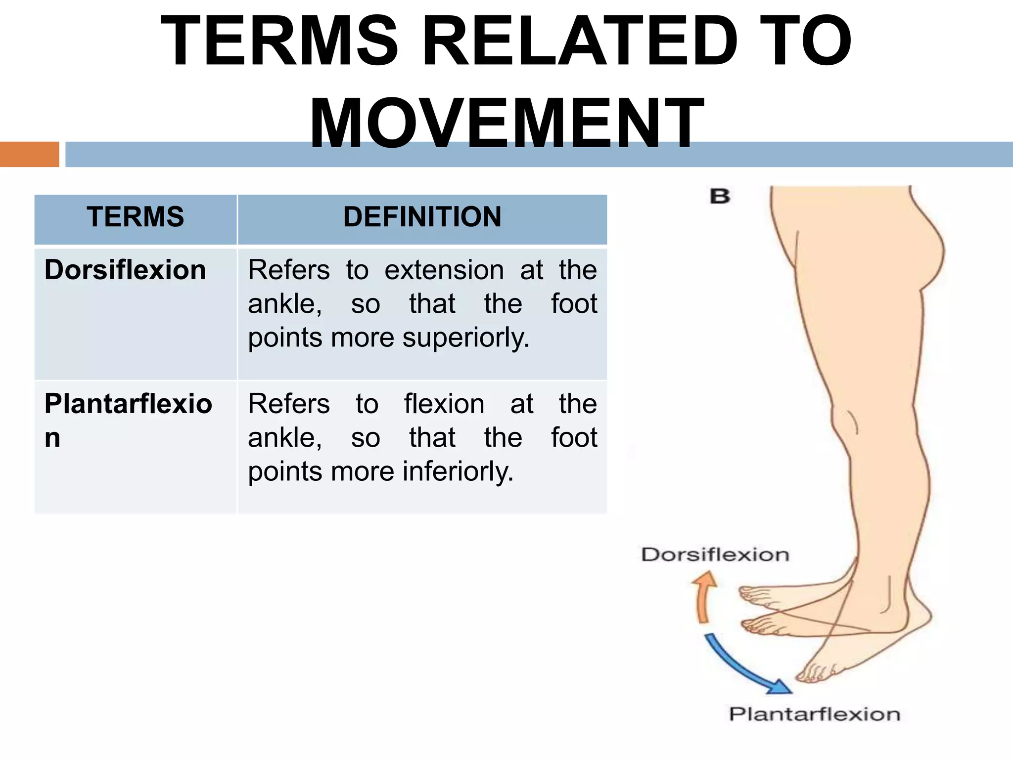 Introduction to General Anatomy I | PPTX
