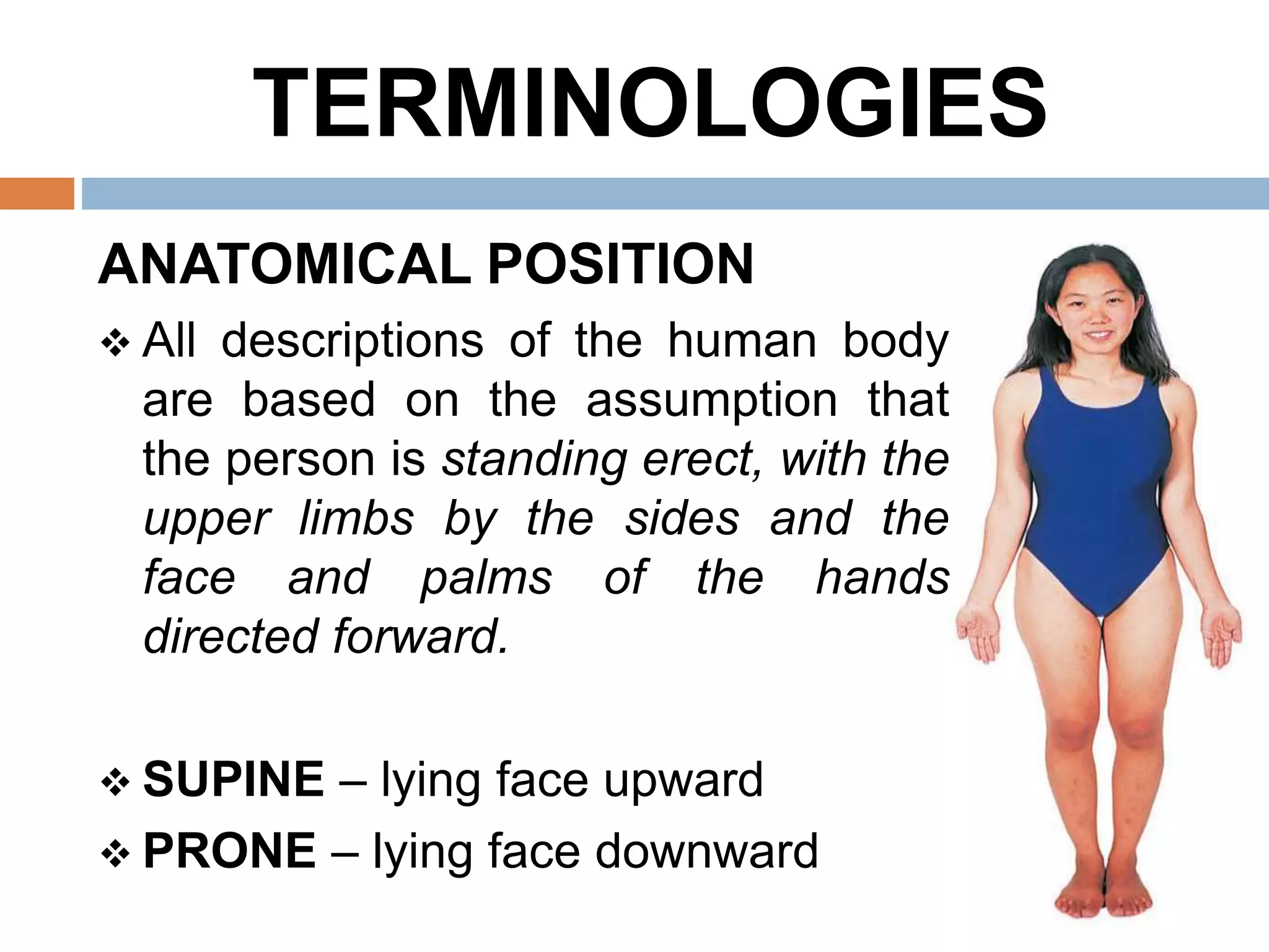Introduction to General Anatomy I | PPTX