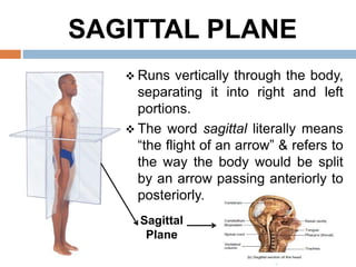 Introduction to General Anatomy I | PPTX