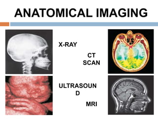 Introduction to General Anatomy I | PPTX