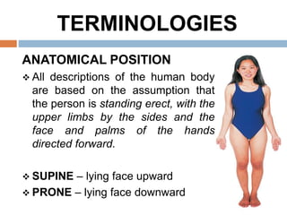 Introduction to General Anatomy I | PPTX
