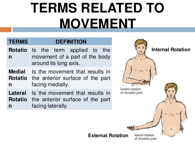 Anatomical Terms Of Movement Flexion Rotation Teachmeanatomy