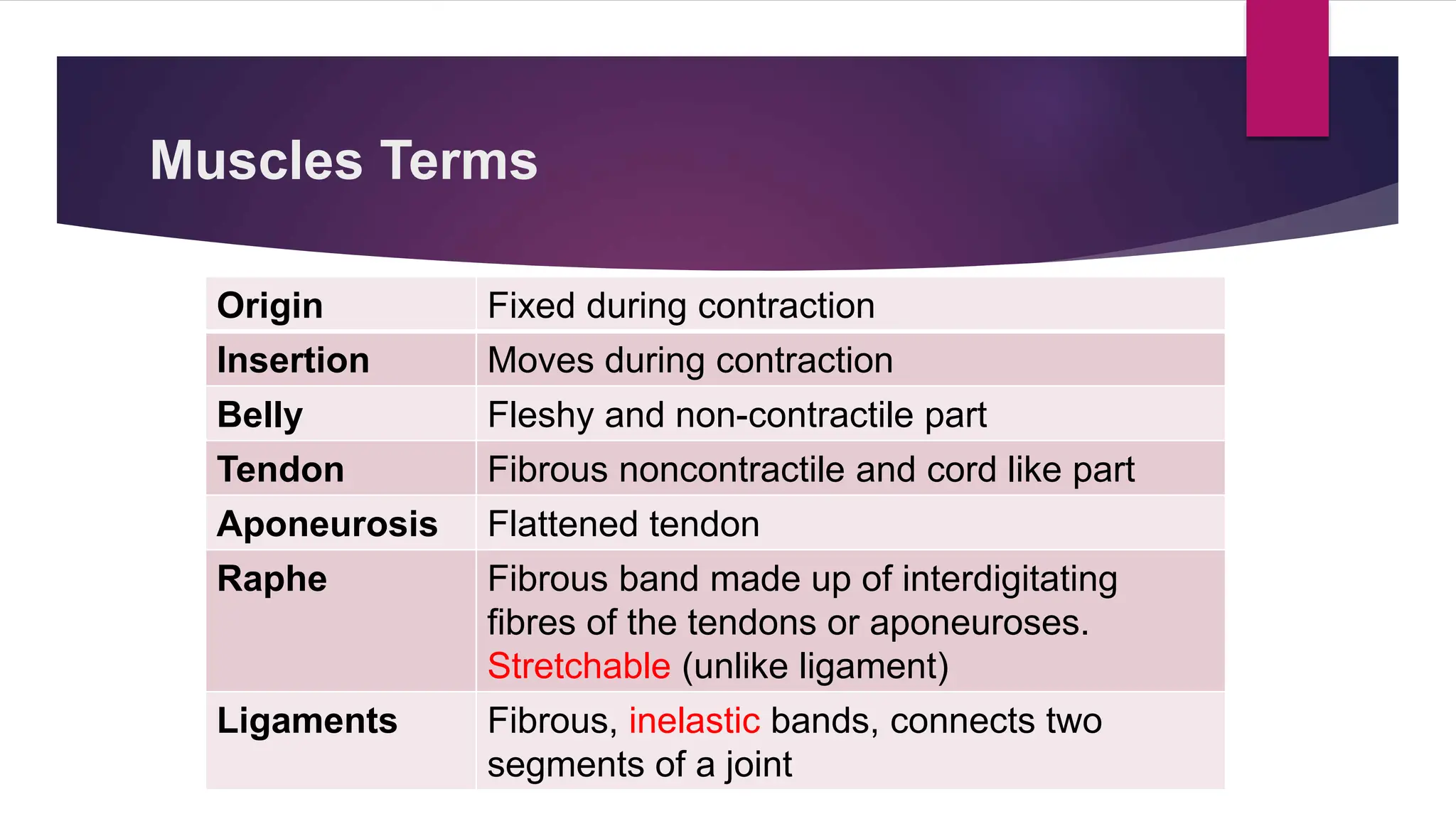 Introduction To General Anatomy (muscle and body systems) Parrt 2.pptx