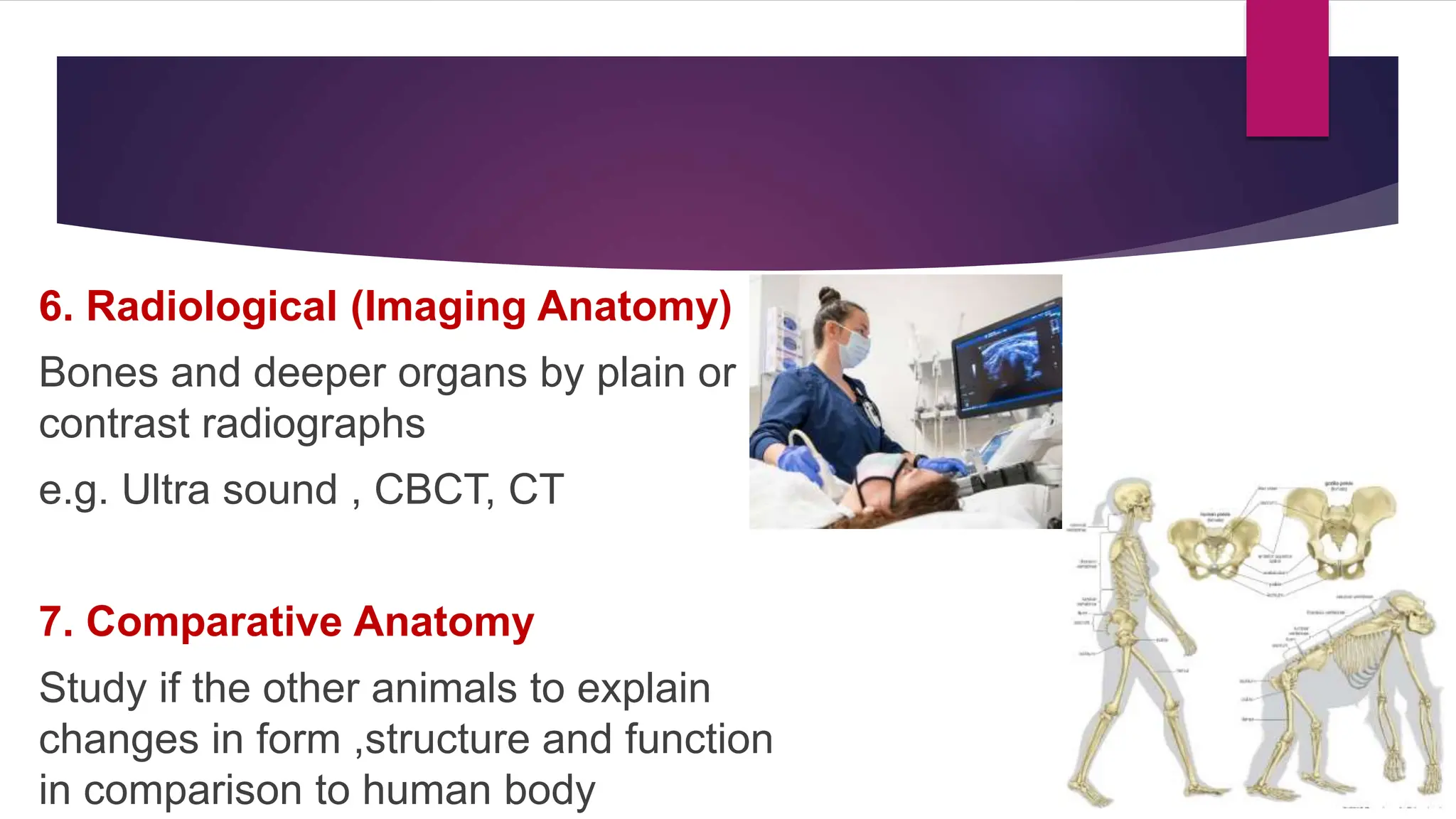 Introduction To General Anatomy Part 1.pptx