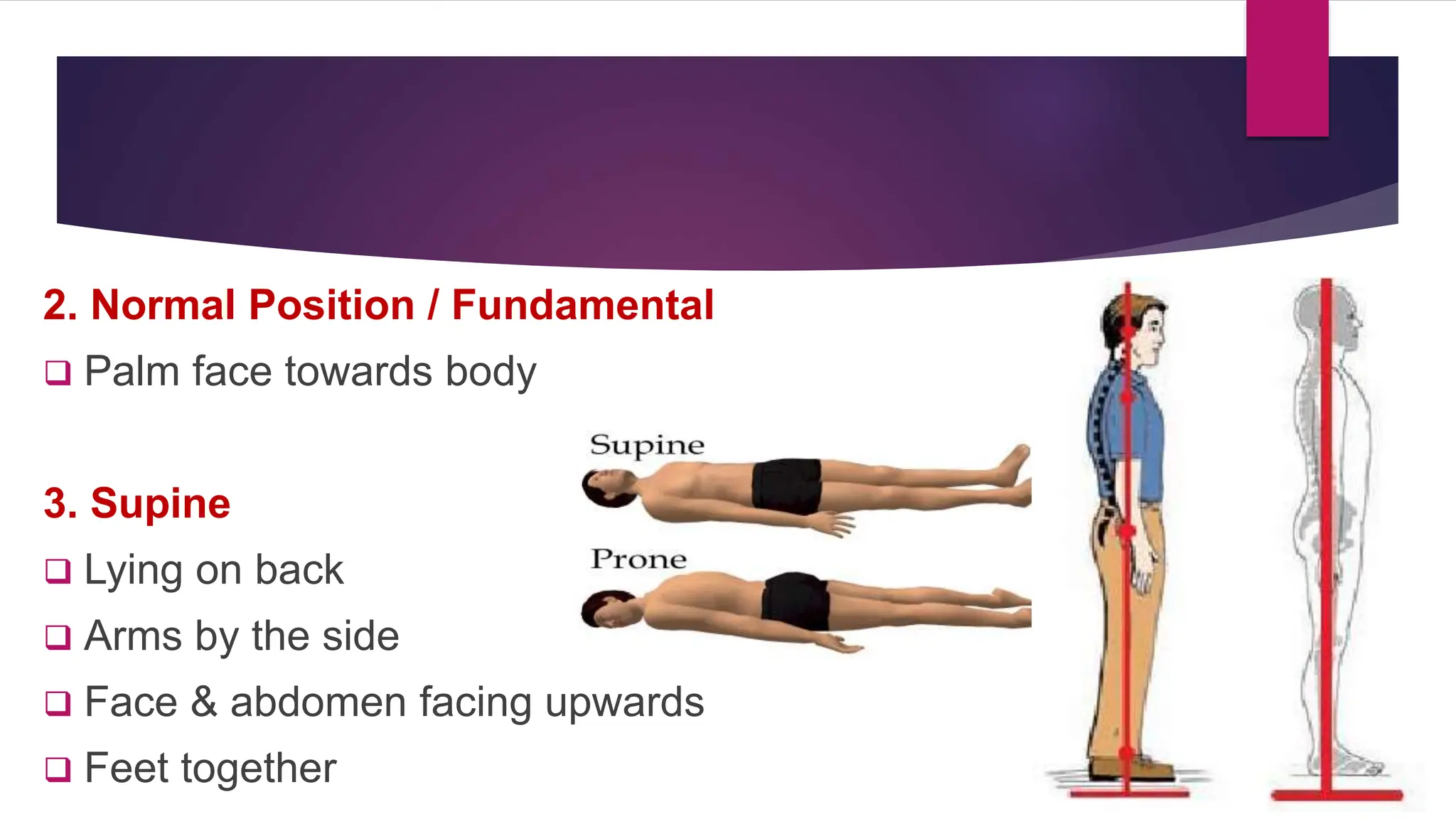 Introduction To General Anatomy Part 1.pptx