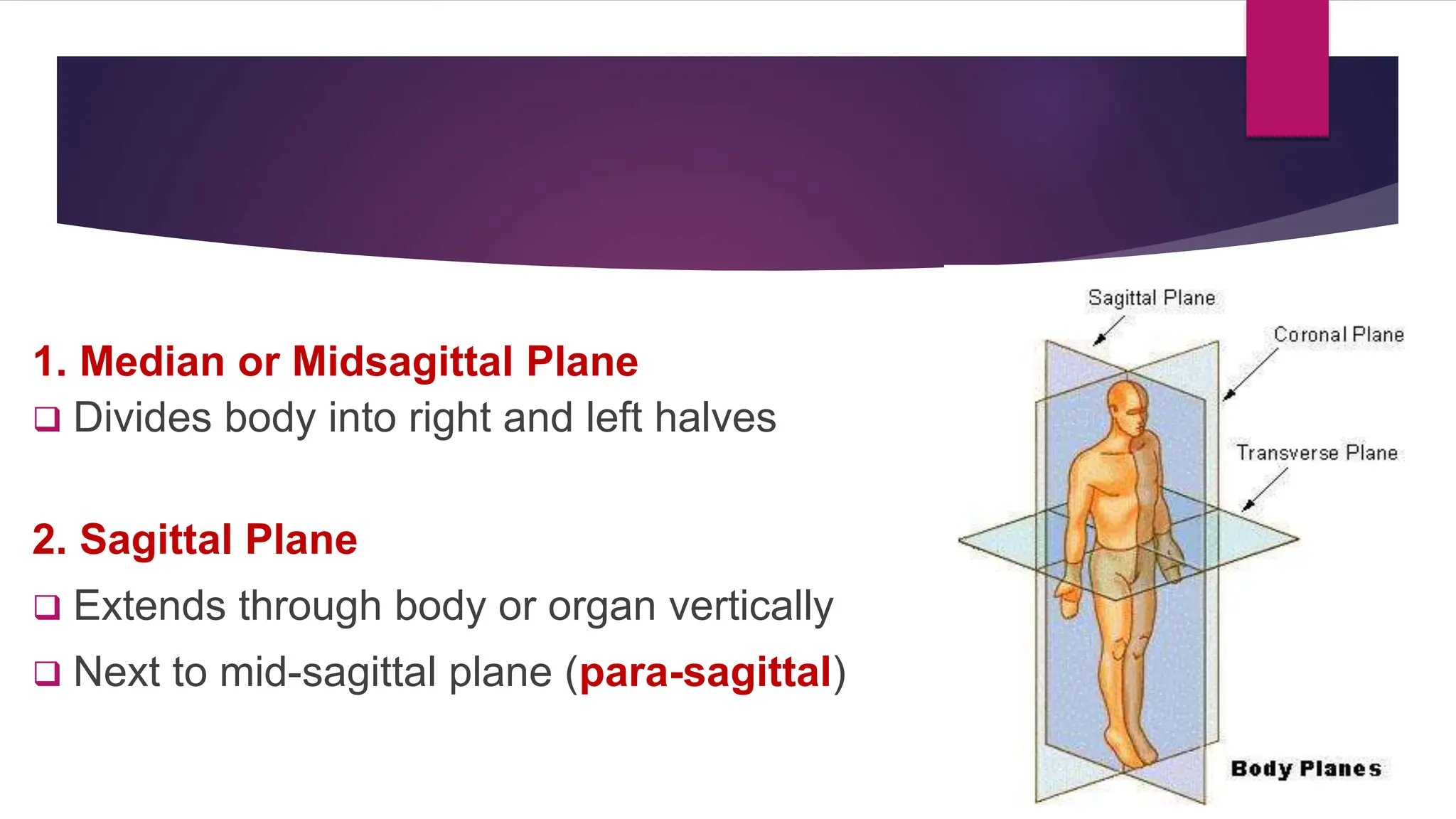 Introduction To General Anatomy Part 1.pptx