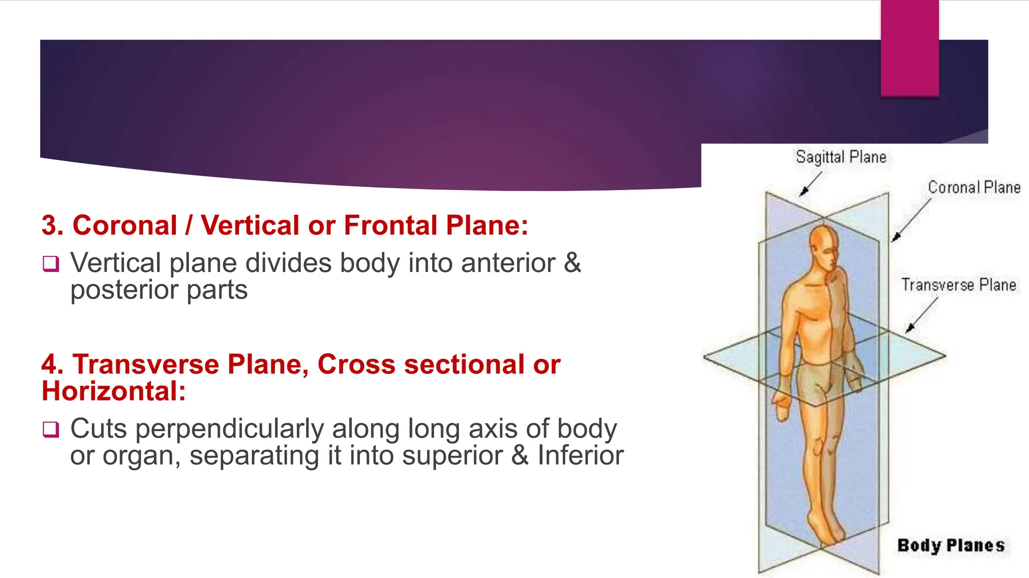 Introduction To General Anatomy Part 1.pptx
