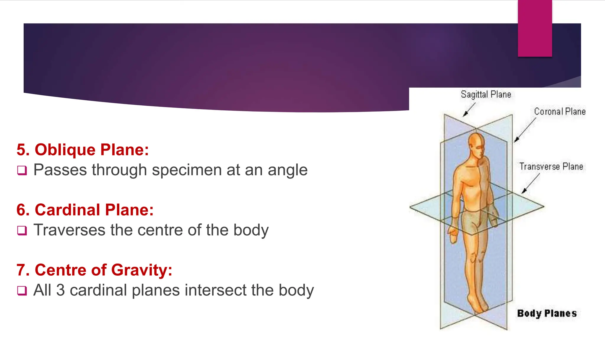 Introduction To General Anatomy Part 1.pptx