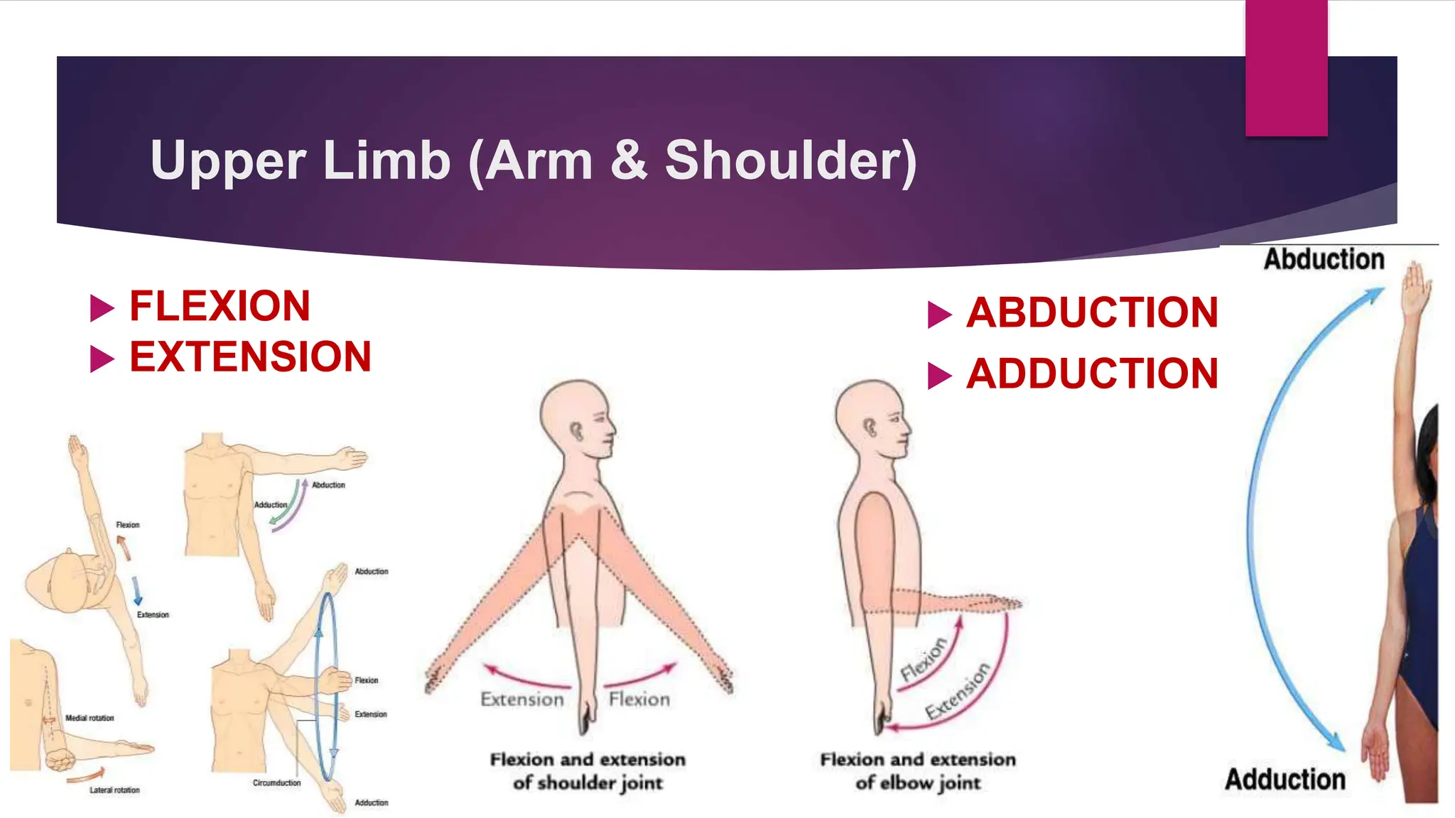 Introduction To General Anatomy Part 1.pptx