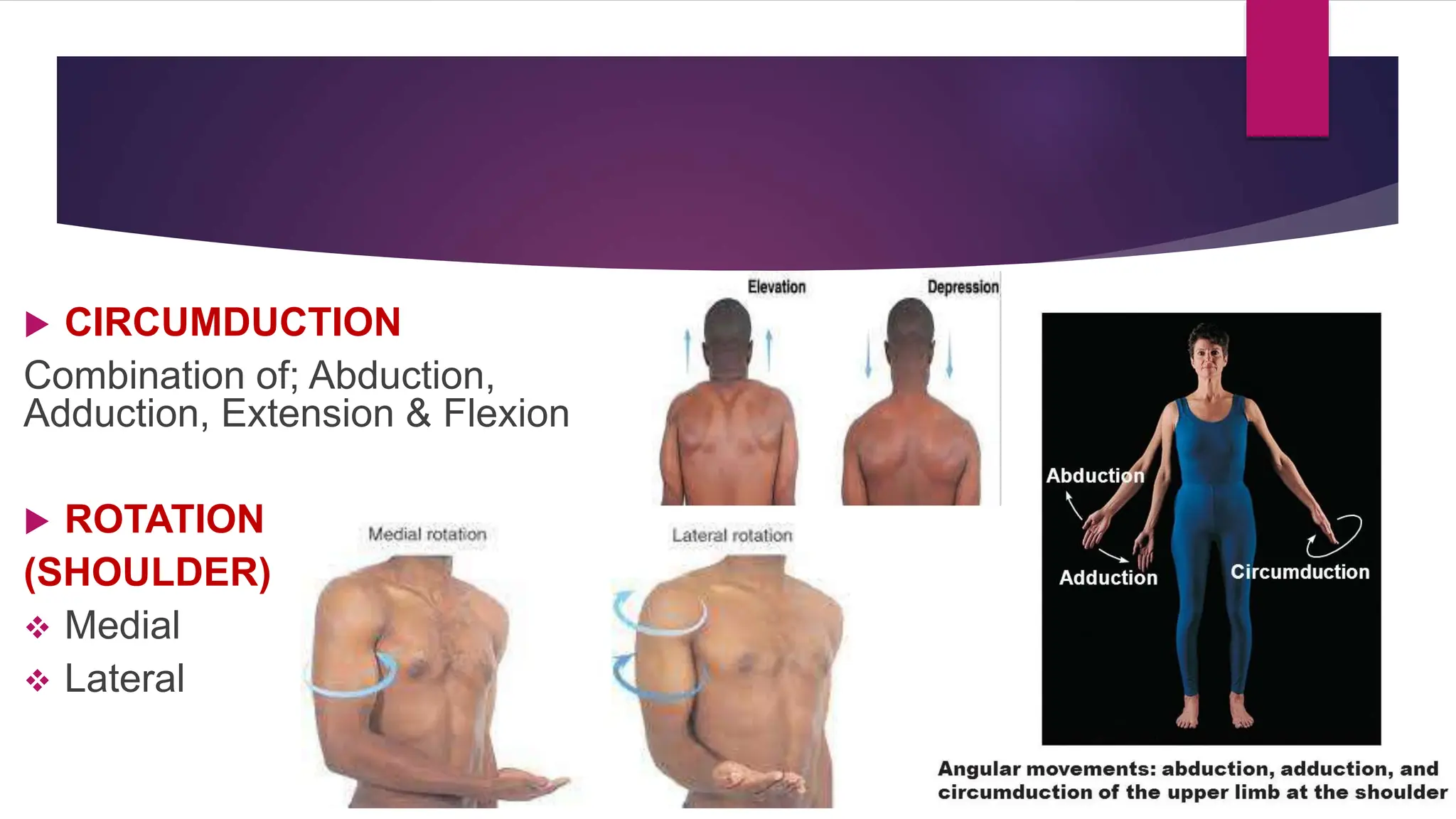 Introduction To General Anatomy Part 1.pptx