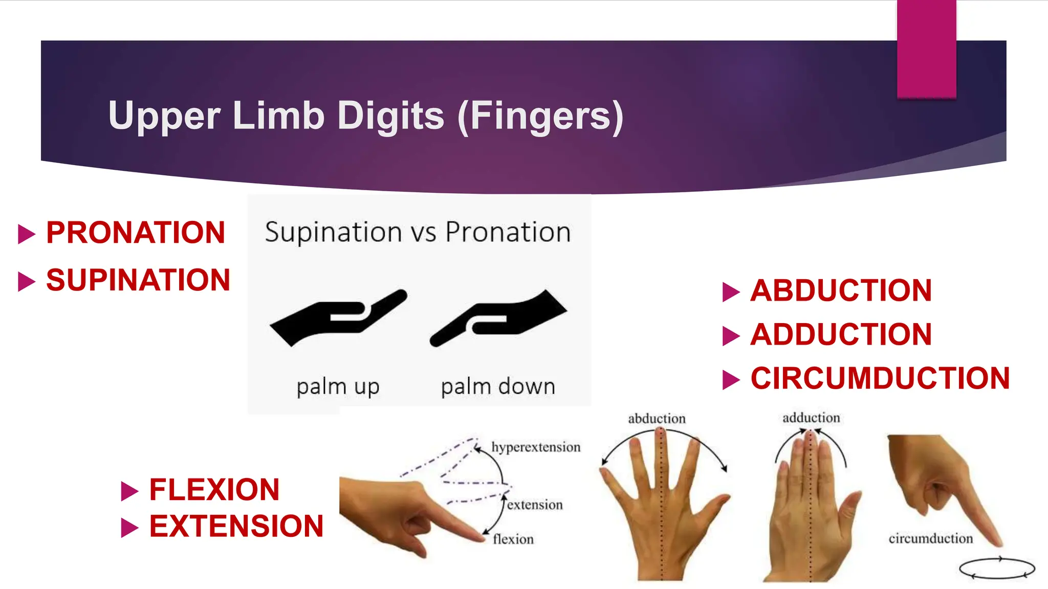 Introduction To General Anatomy Part 1.pptx