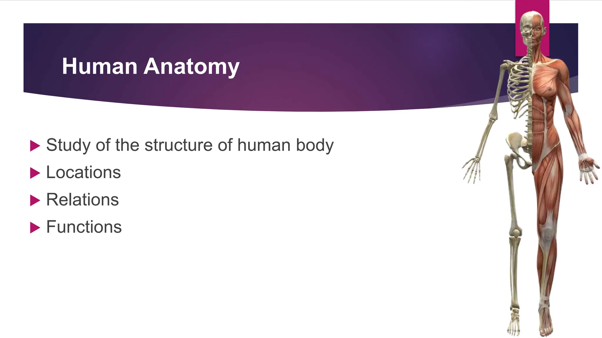 Introduction To General Anatomy Part 1.pptx
