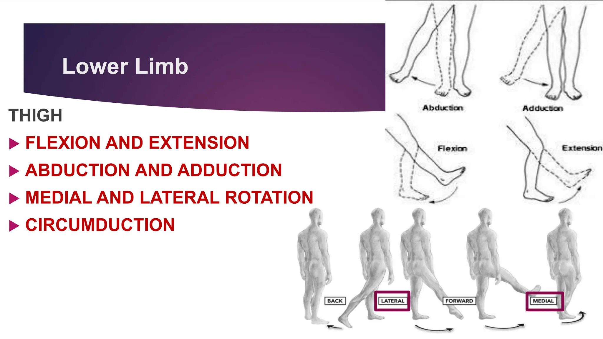 Introduction To General Anatomy Part 1.pptx