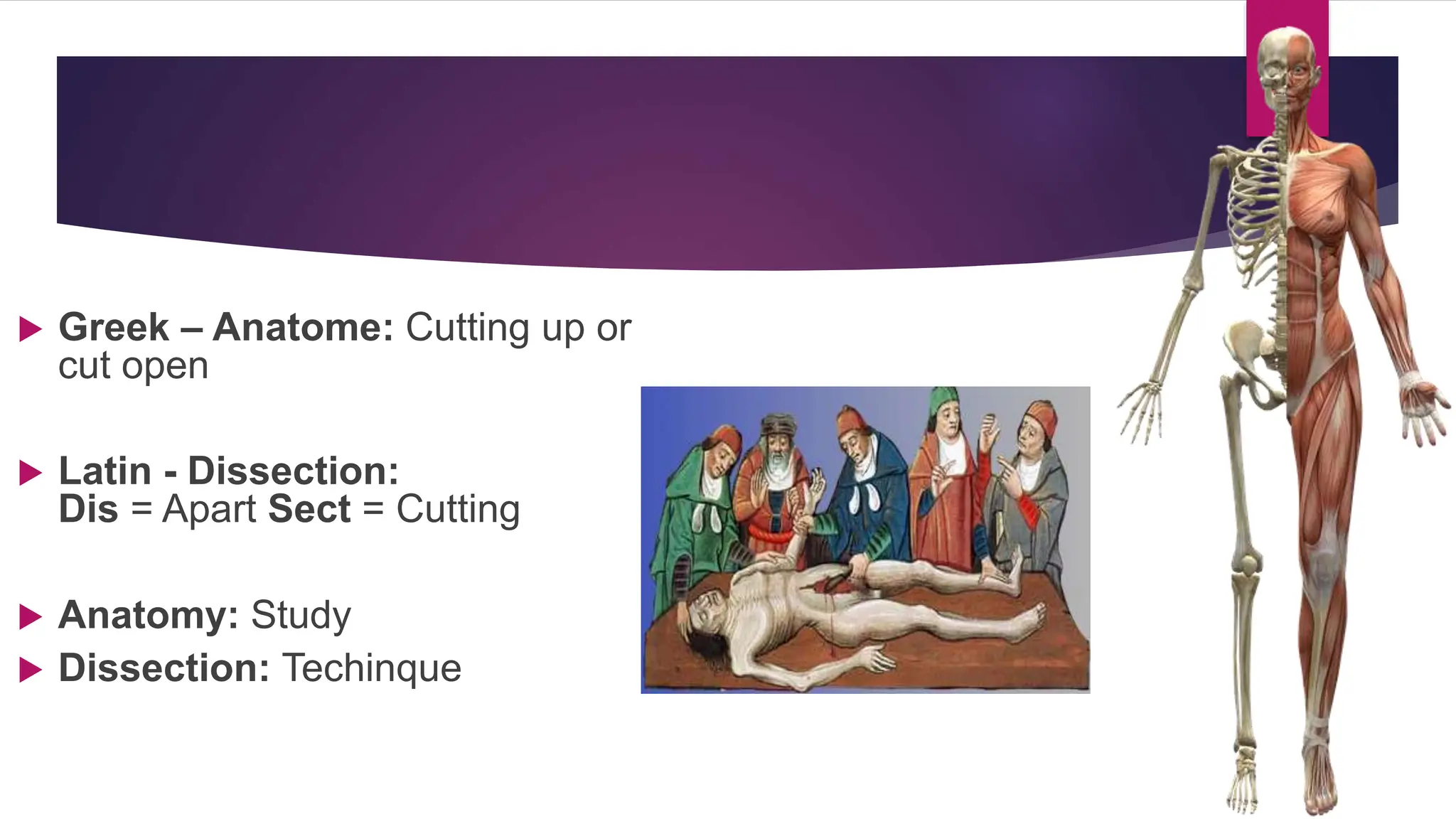 Introduction To General Anatomy Part 1.pptx