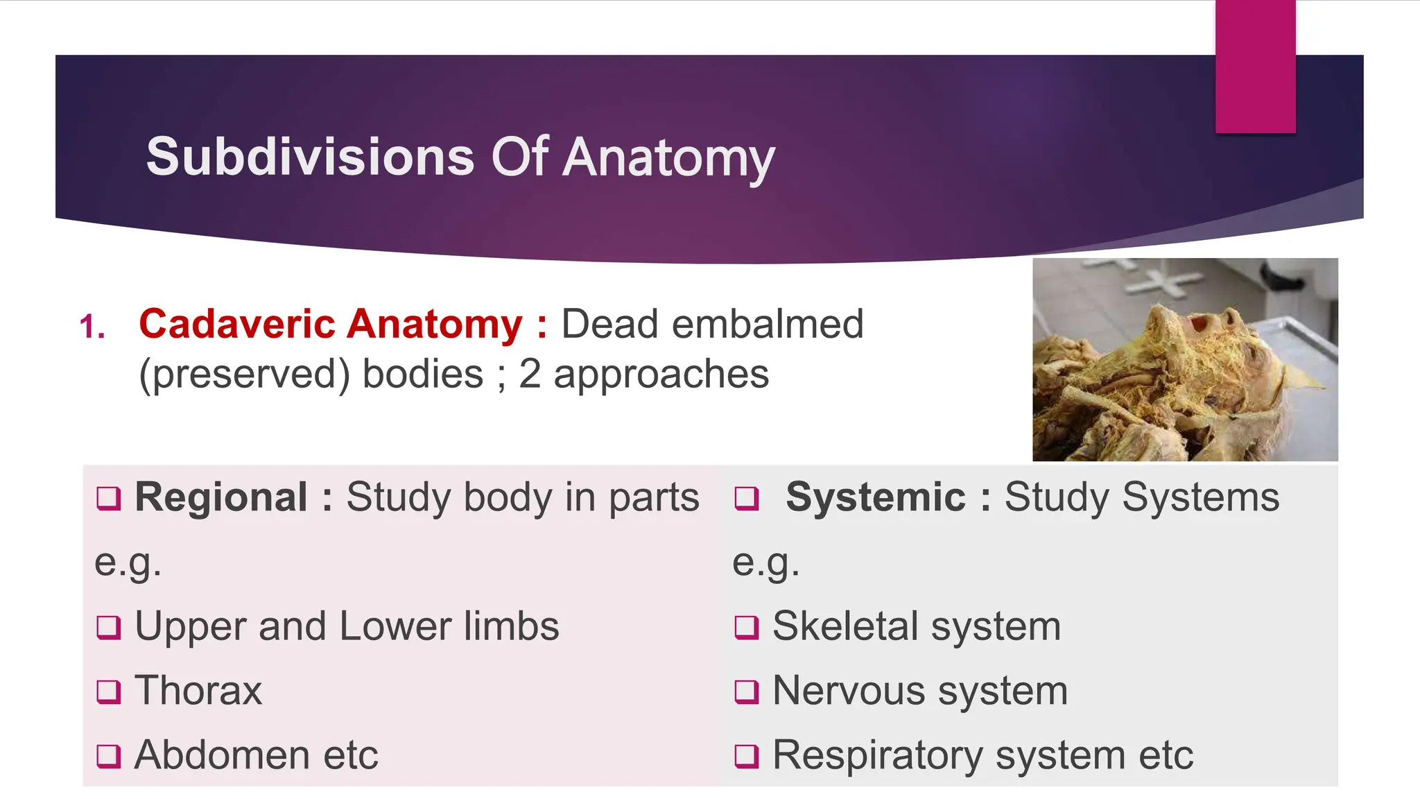 Introduction To General Anatomy Part 1.pptx