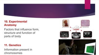 Introduction To General Anatomy Part 1.pptx