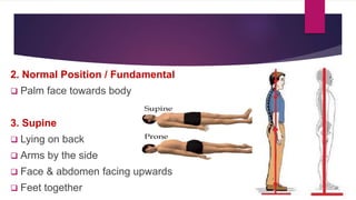 Introduction To General Anatomy Part 1.pptx