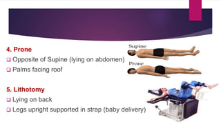 Introduction To General Anatomy Part 1.pptx