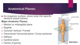 Introduction To General Anatomy Part 1.pptx