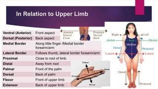 Introduction To General Anatomy Part 1.pptx