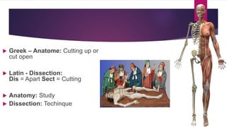 Introduction To General Anatomy Part 1.pptx