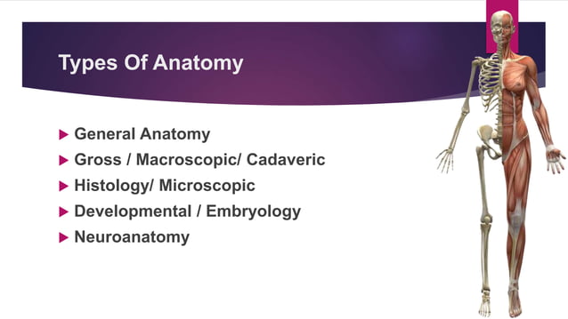 Introduction To General Anatomy Part 1.pptx | Biological Sciences | Science