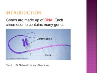 Introduction to genes and gene theraph ysss | PPTX