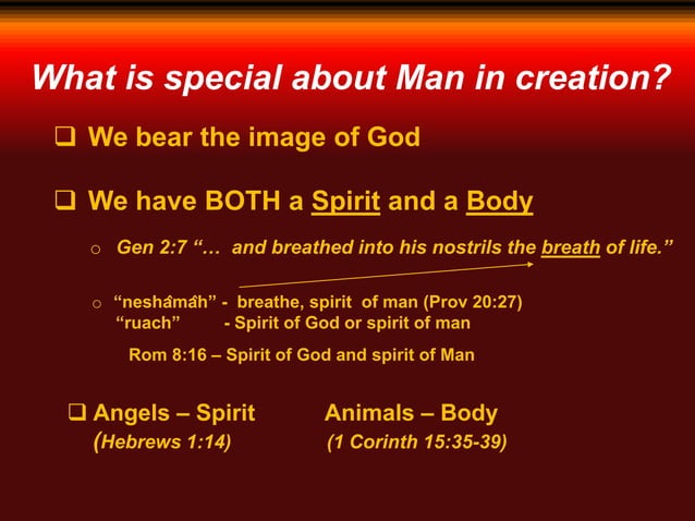 Introduction to Genesis part II | PPT