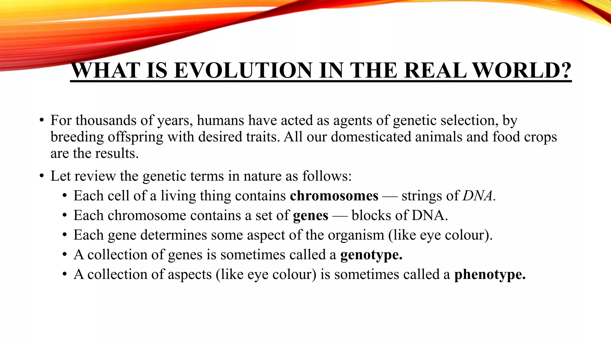 Introduction To Genetic Algorithms Ppt