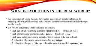 Introduction to genetic algorithms | PPT