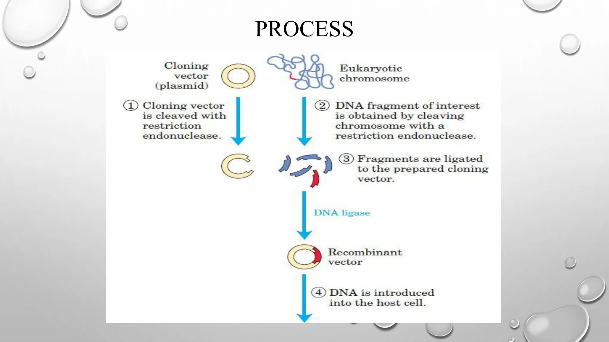 Introduction to Genetic Engineering.pdf