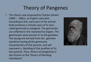 Introduction to genetics | PDF