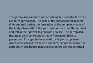 Introduction to genetics | PDF